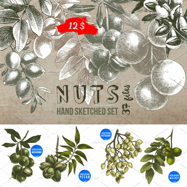 Hand Drawn Nuts Set – MasterBundles