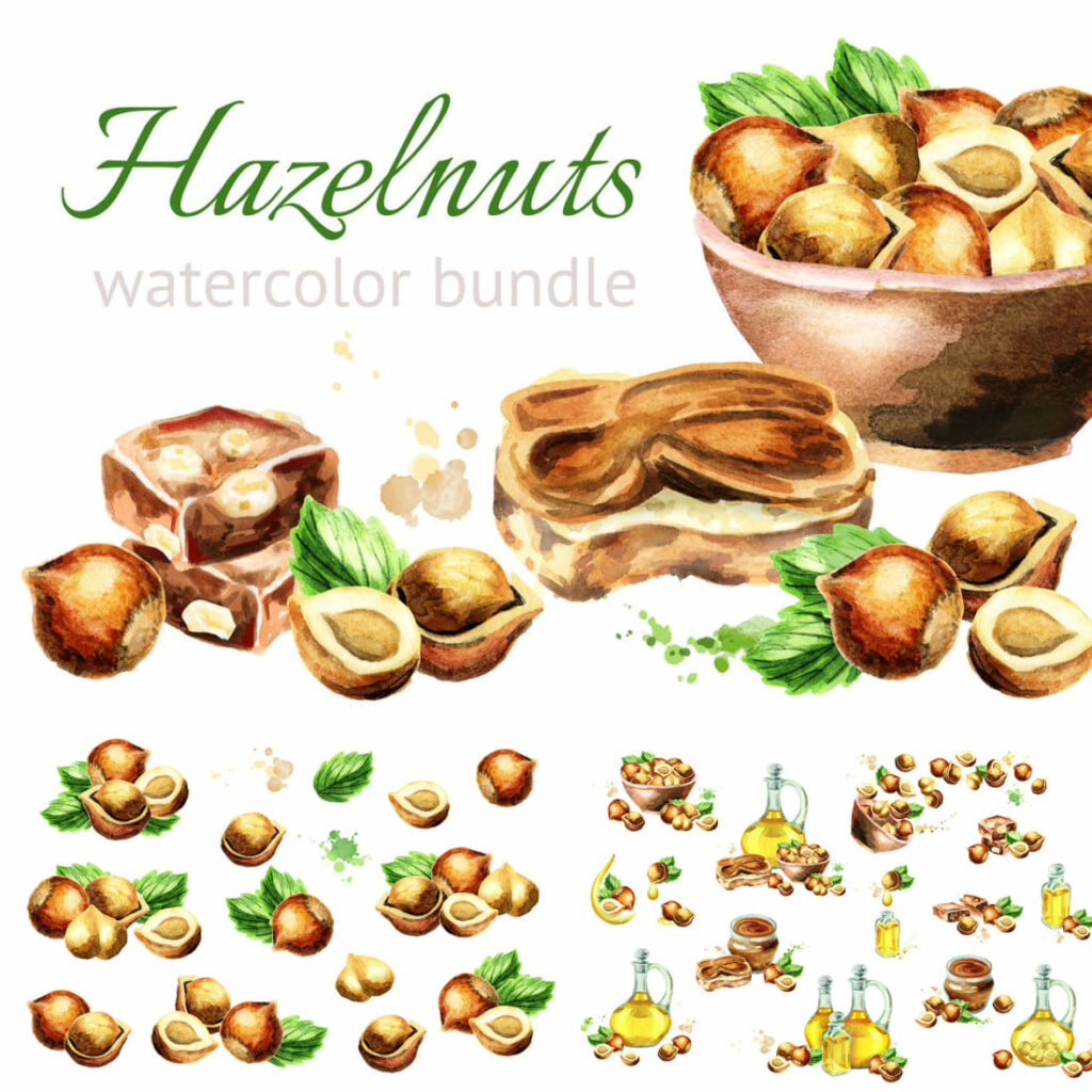 Hazelnuts Nuts Cute Characters With Human Faces – MasterBundles