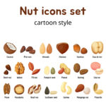 Nut Icons Set, Cartoon Style – MasterBundles