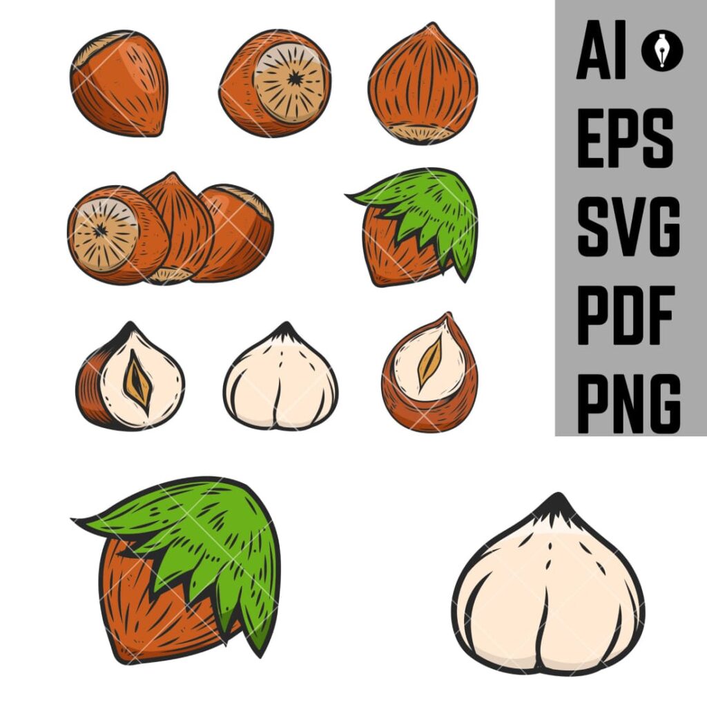 Nut Icon Set, Cartoon Style | MasterBundles