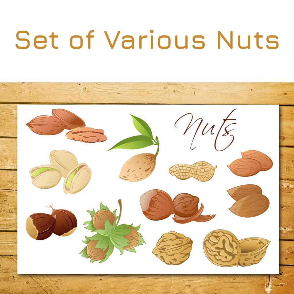 Nut Icons Set, Cartoon Style | Master Bundles
