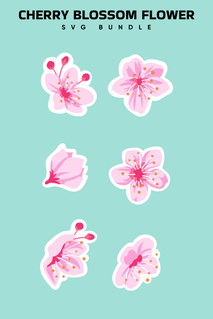 Cherry Blossom Flower SVG – MasterBundles