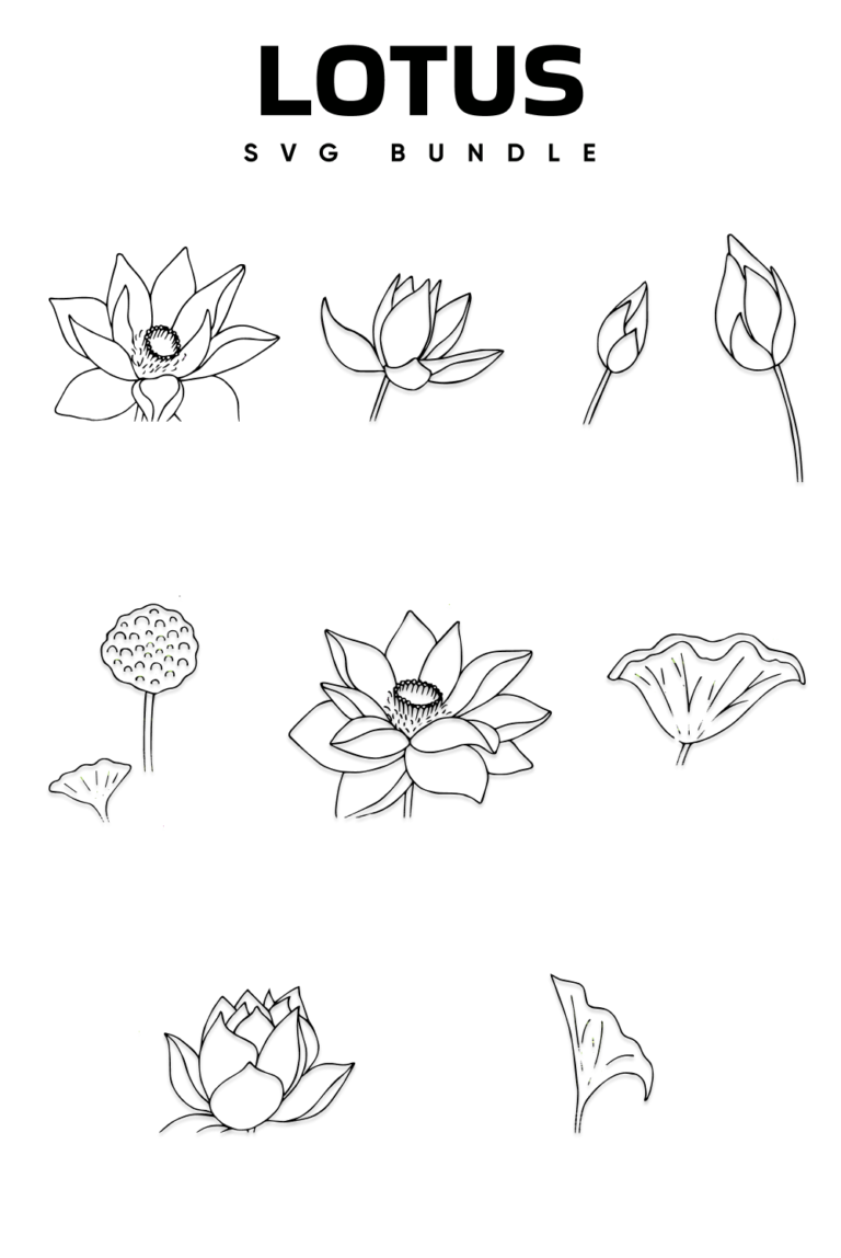 Lotus SVG Bundle – MasterBundles