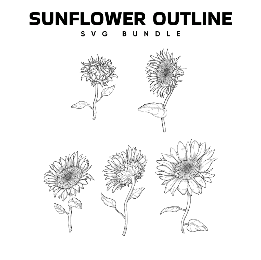 Sunflower Outline SVG Designs – MasterBundles