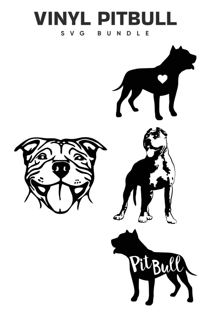 Vinyl Pitbull Svg – MasterBundles