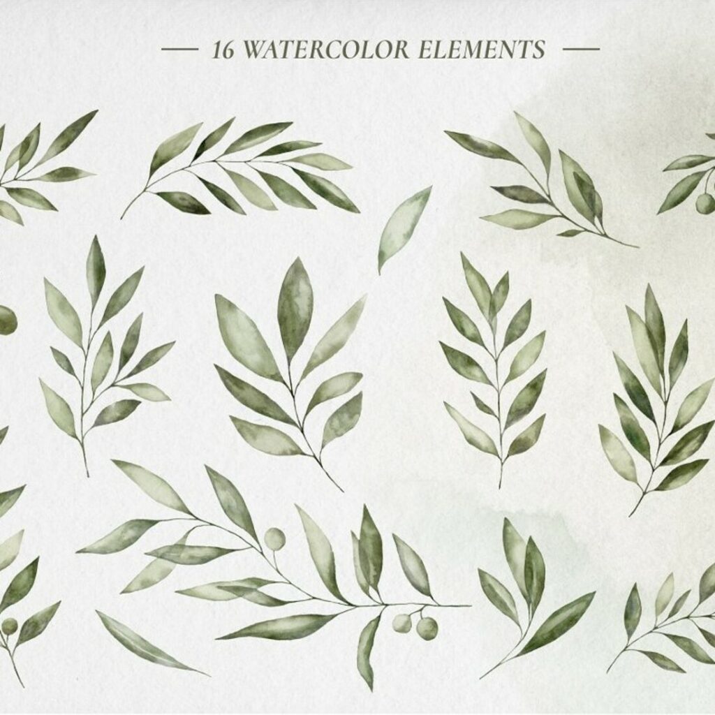 Olive Branches Watercolors - MasterBundles