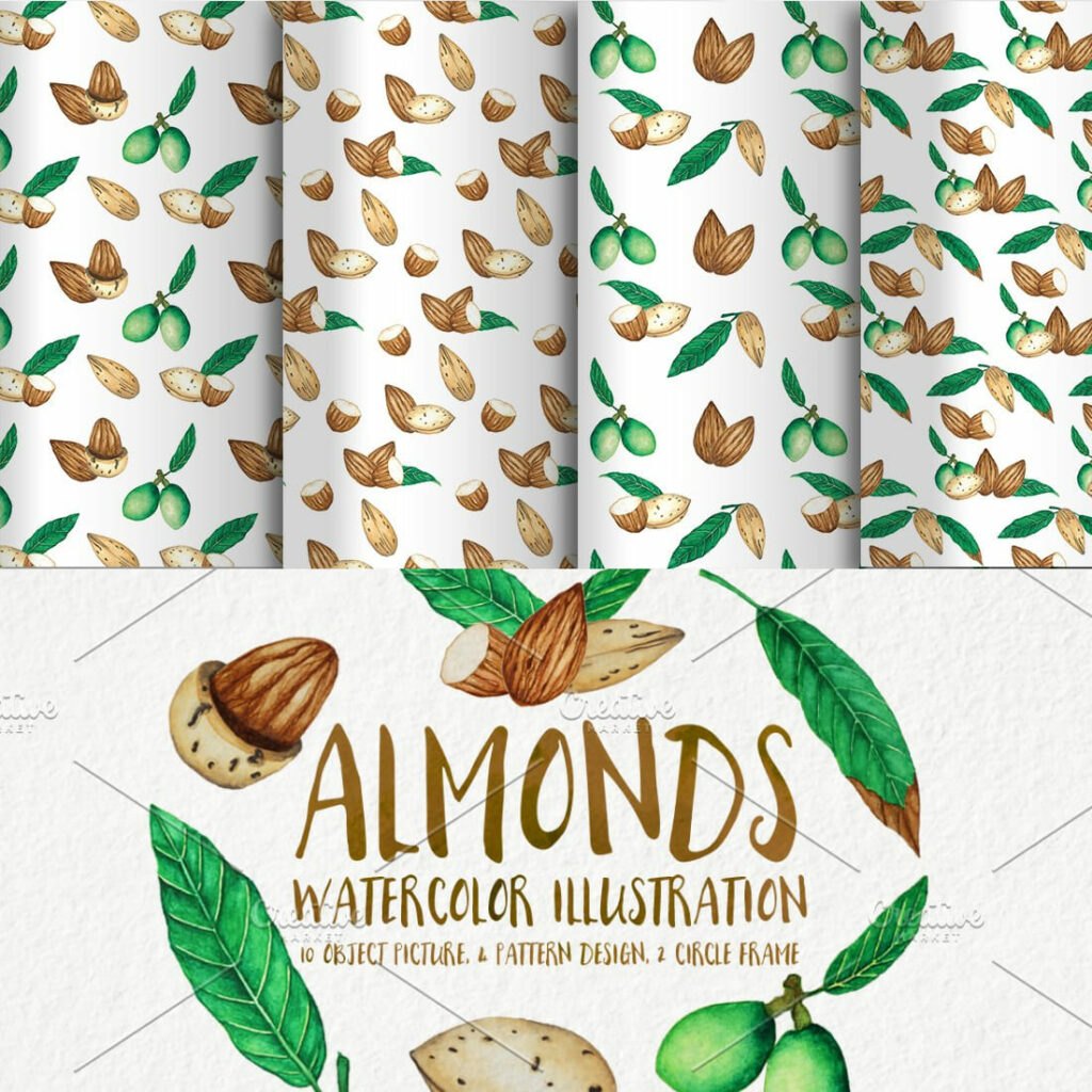 Almonds Watercolors Illustration – MasterBundles
