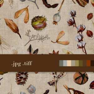Fall Seamless Pattern, Autumn Floral Elements , Seed Pods | MasterBundles