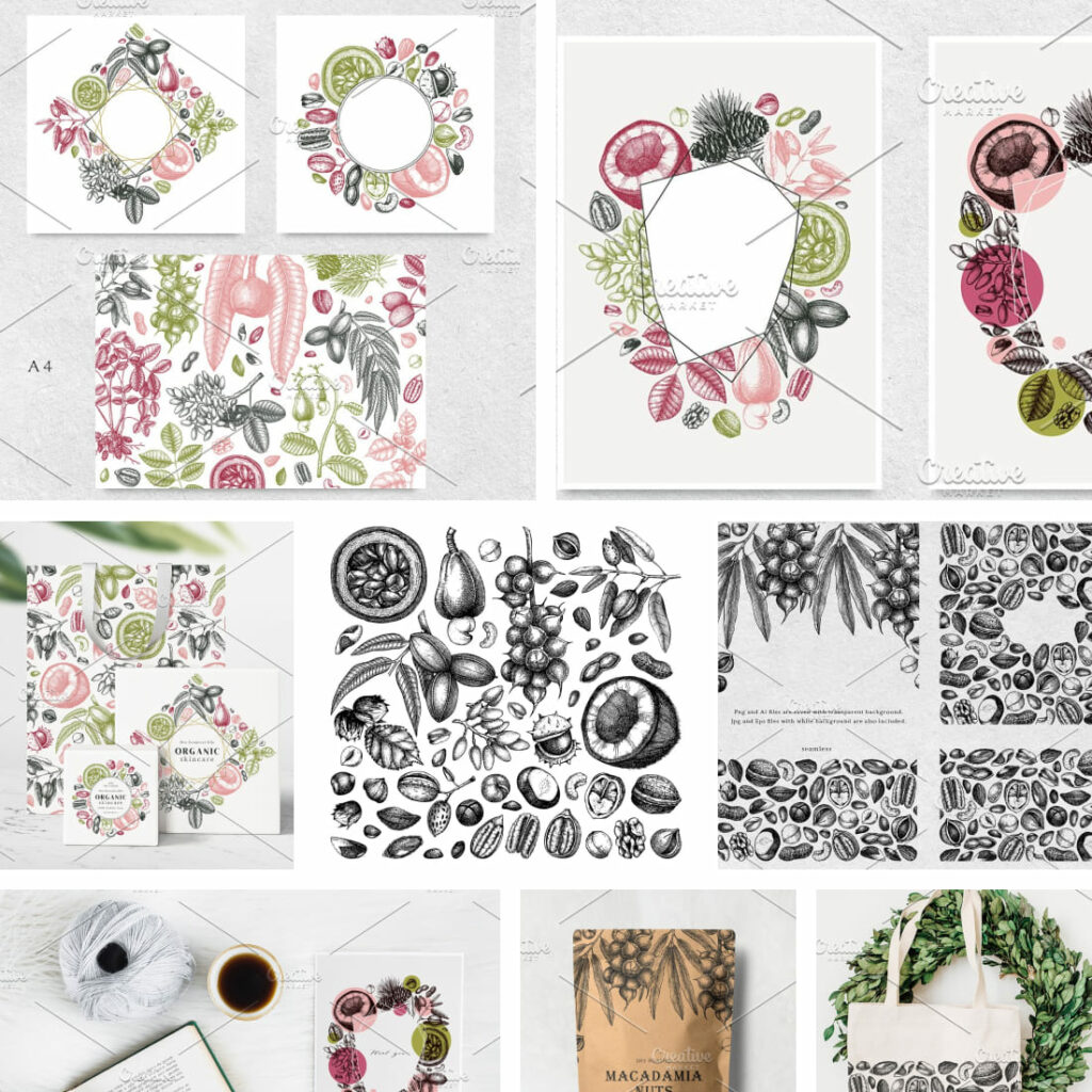 Nut Sketches. Vector Set – MasterBundles