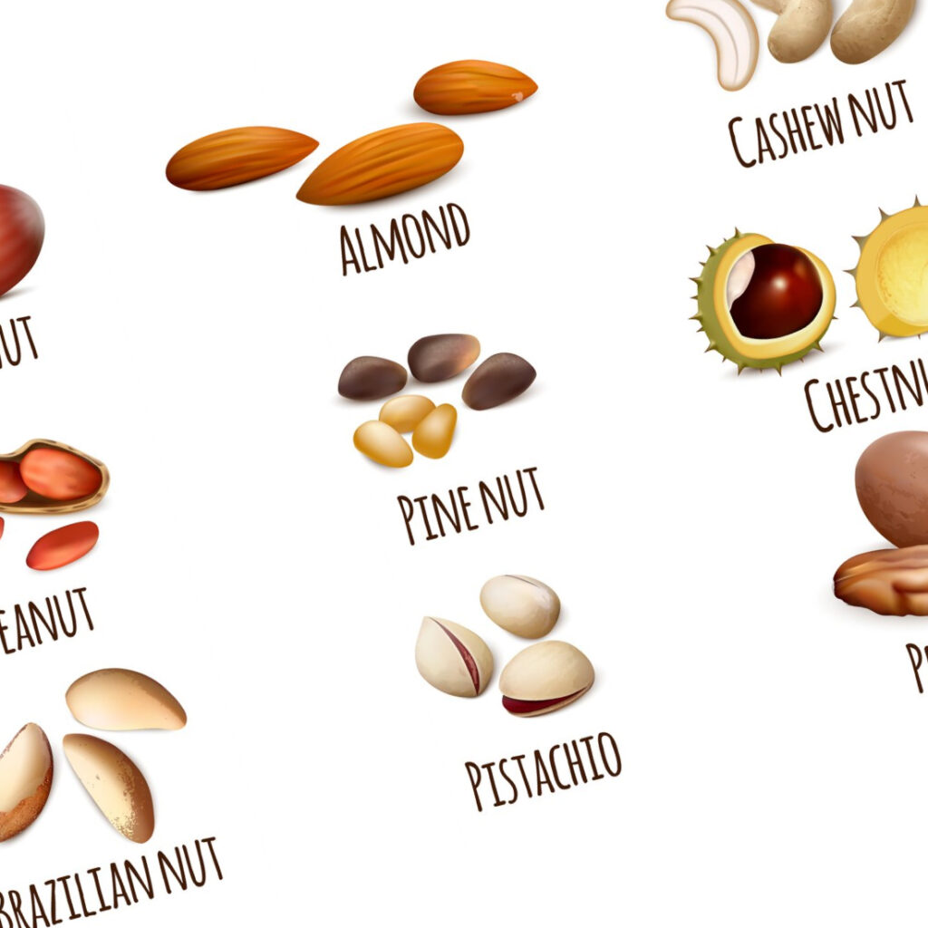 Nut Icons Set, Realistic Style – MasterBundles