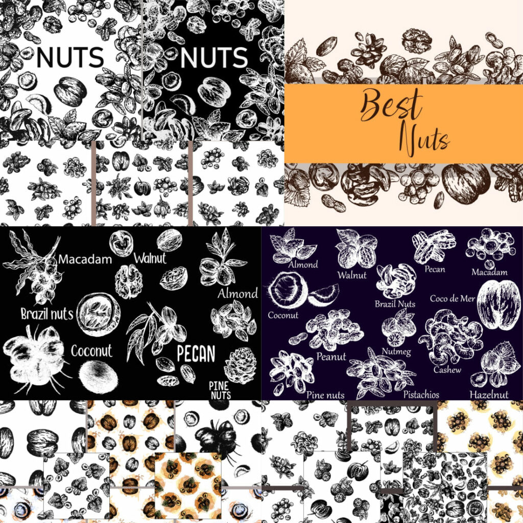 Nuts – MasterBundles