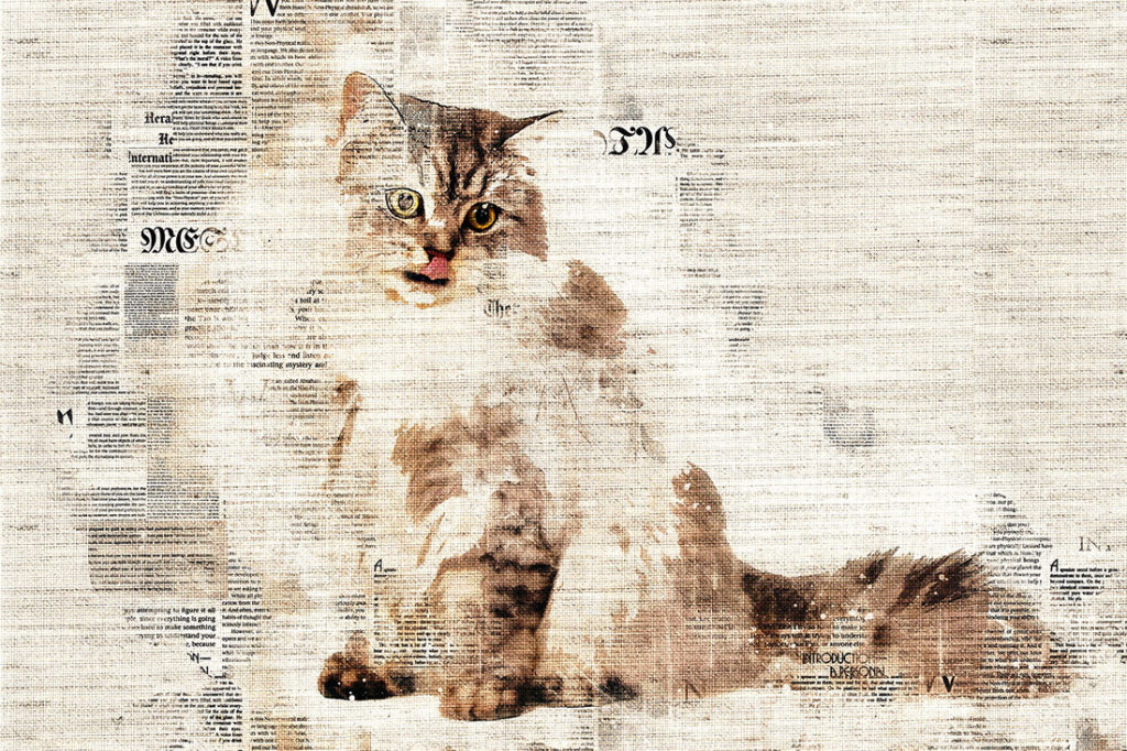 Bundle of 12 KITTENS HQ Graphics Ready to Print with Text Style ...