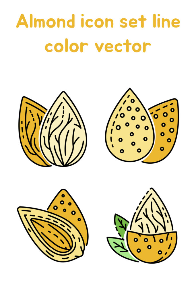 Almond Icon Set Line Color Vector – MasterBundles