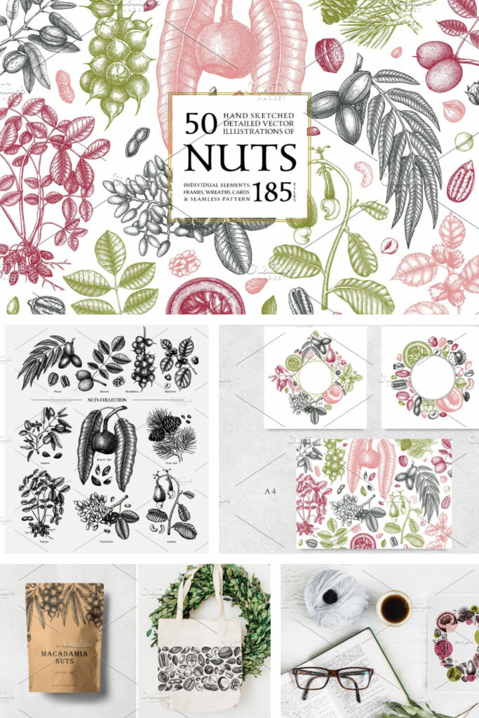 Nut Sketches. Vector Set – MasterBundles