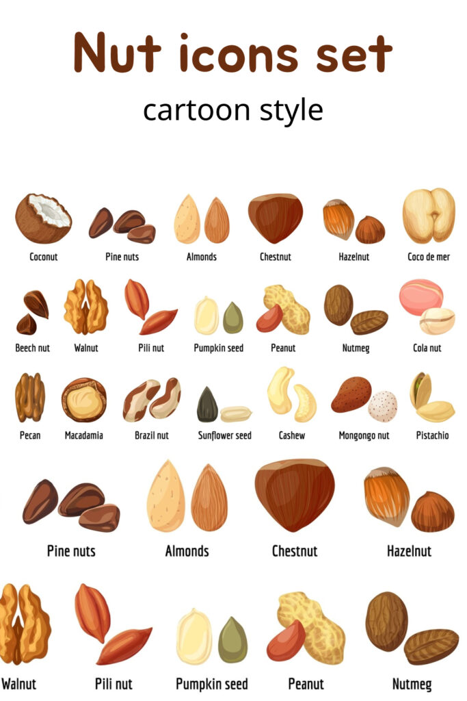 Nut Icons Set, Cartoon Style – MasterBundles