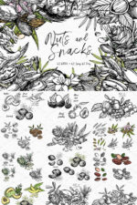Nuts and Snacks – MasterBundles