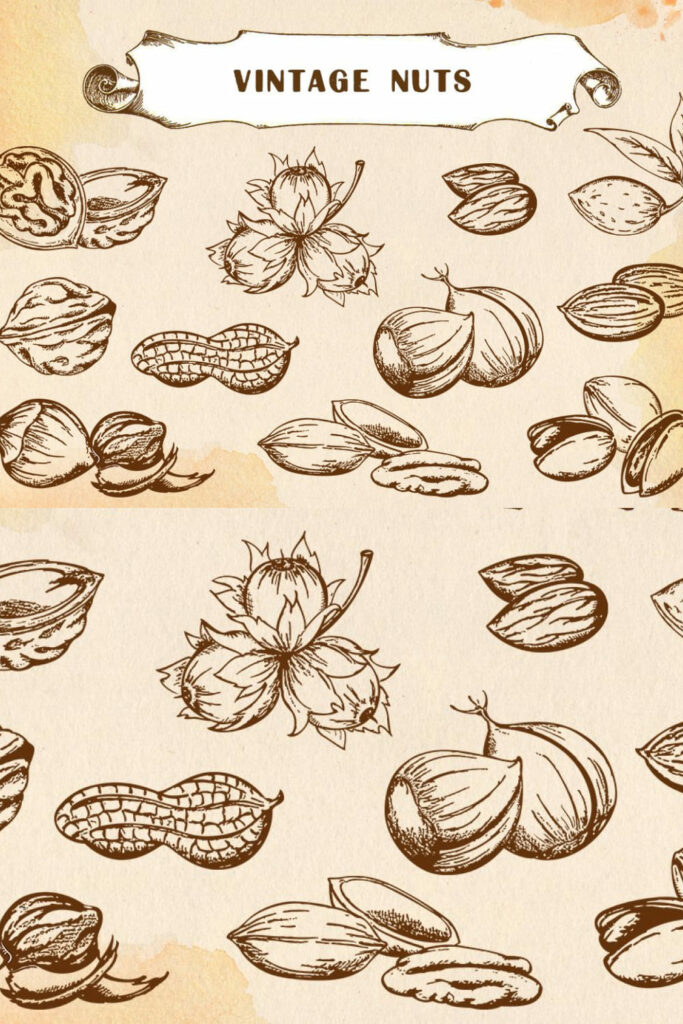 Set of Hand Drawn Vintage Nuts | Master Bundles