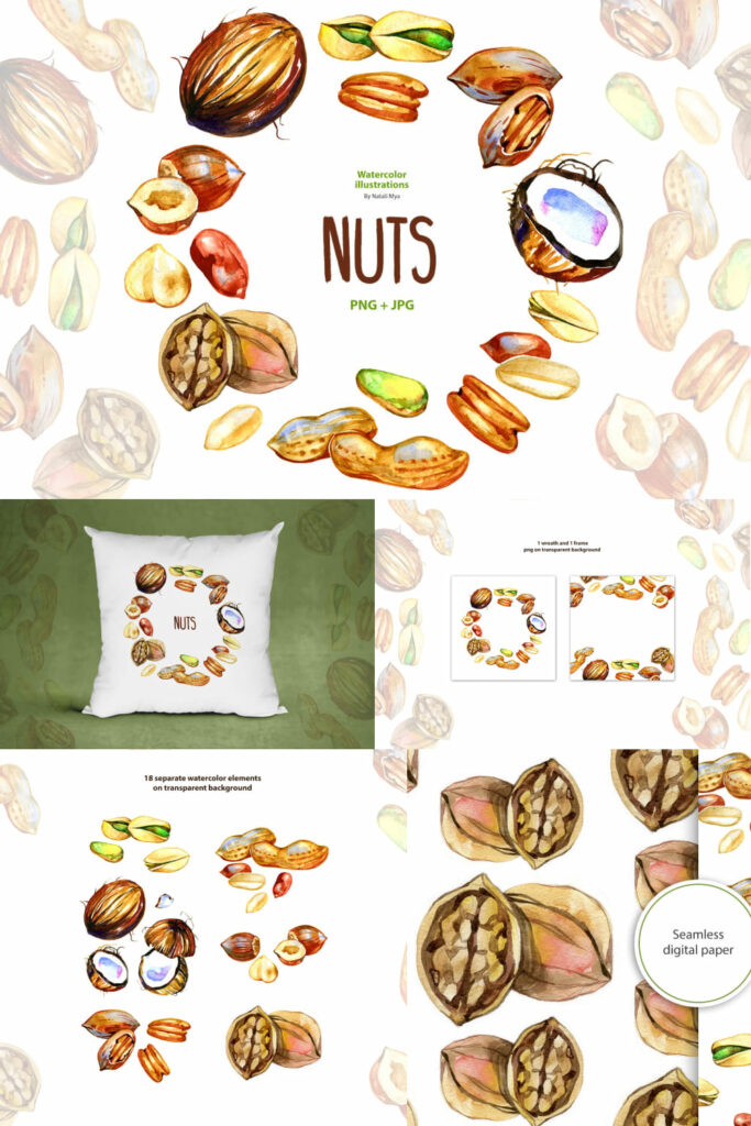 Watercolor Nuts – MasterBundles