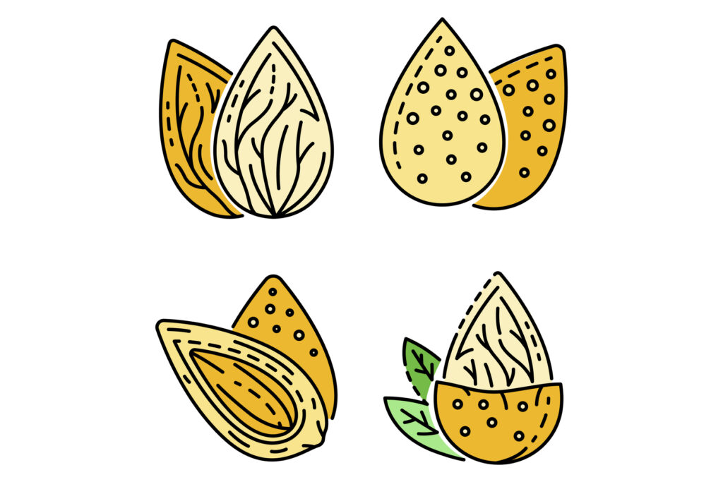 Almond Icon Set Line Color Vector – MasterBundles