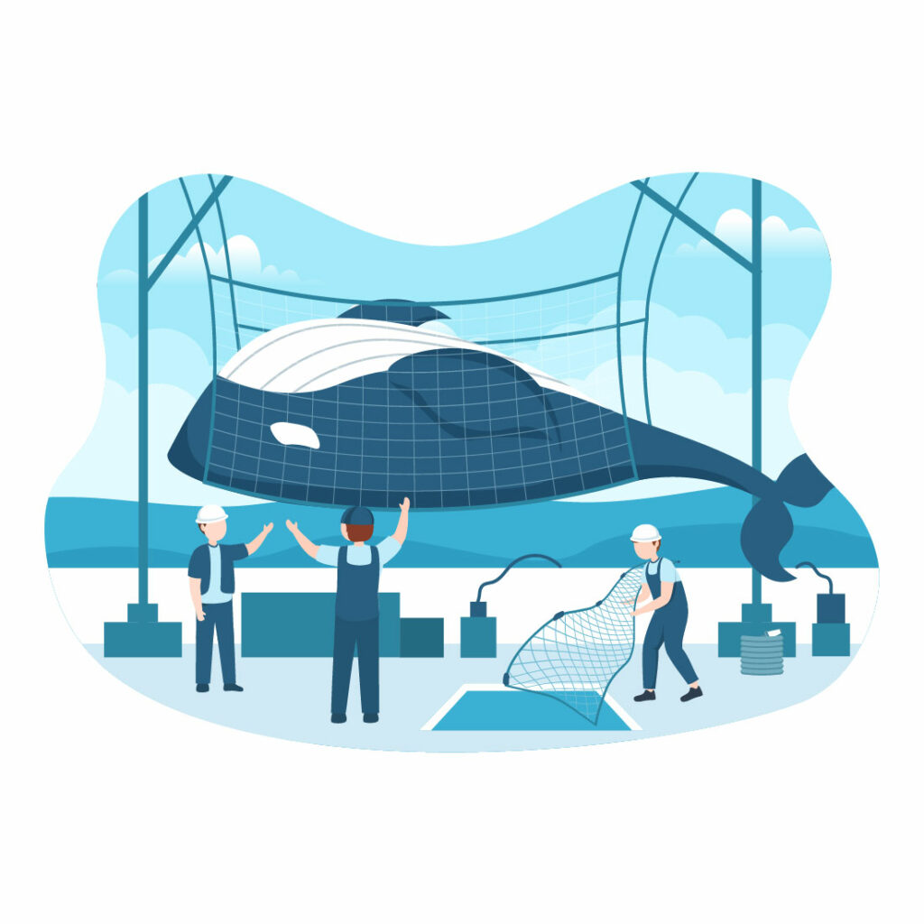 8 Whale Hunting Illustration - MasterBundles