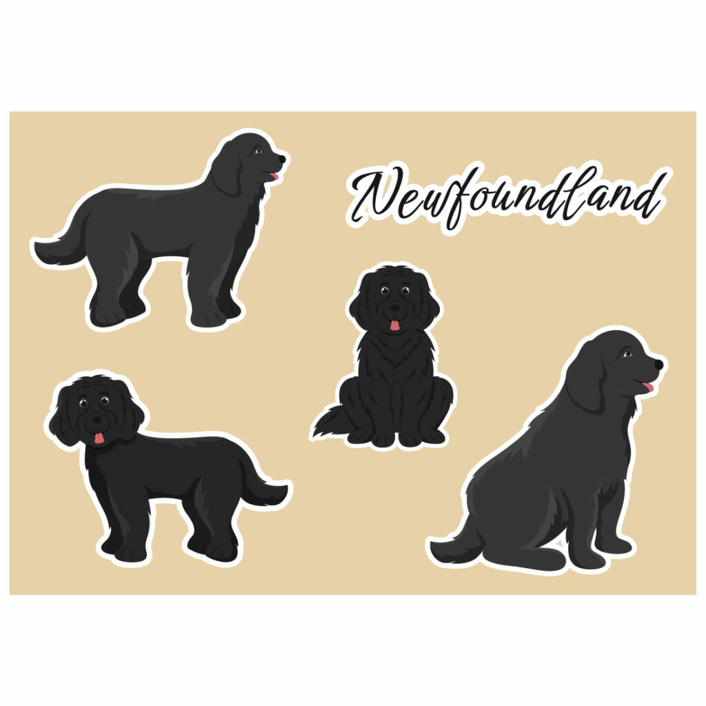 Diamond Silhouette Bundle | MasterBundles