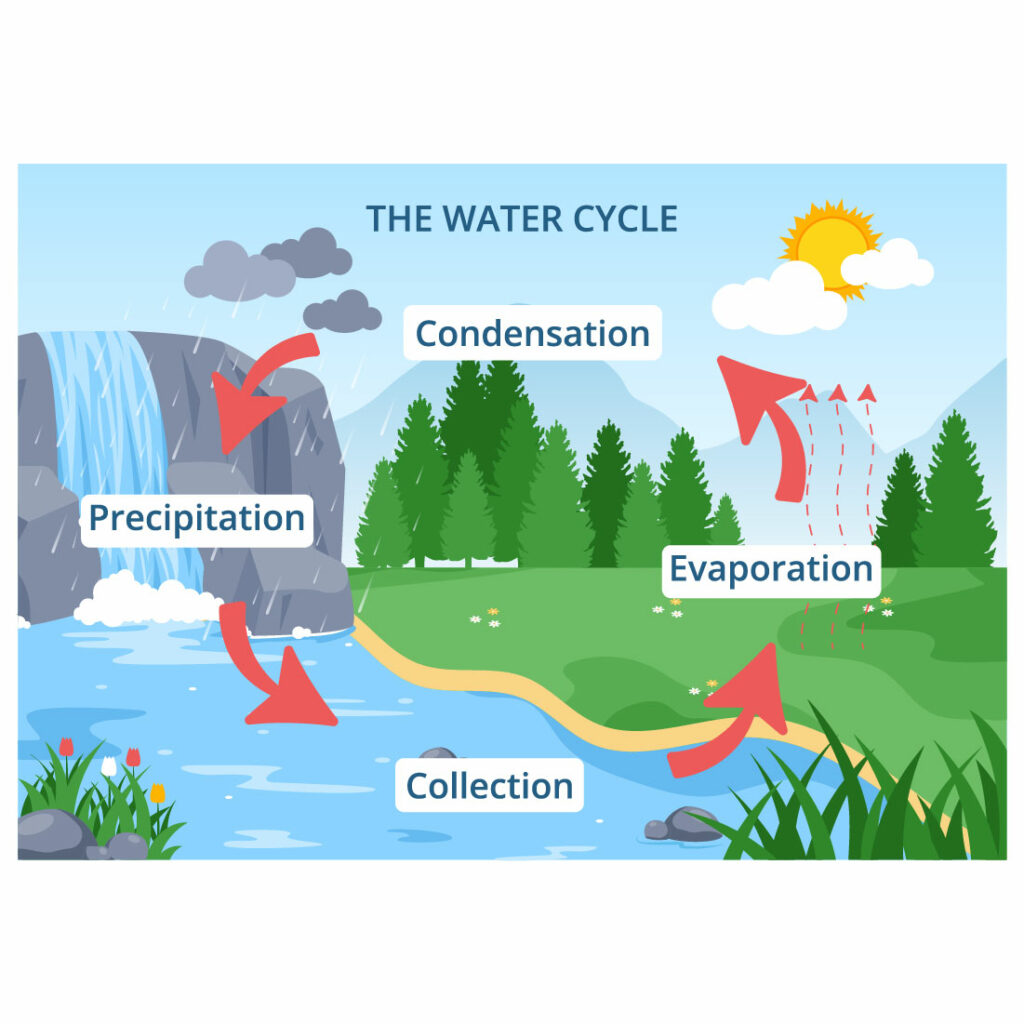 10 Water Cycle Earth Illustration - MasterBundles