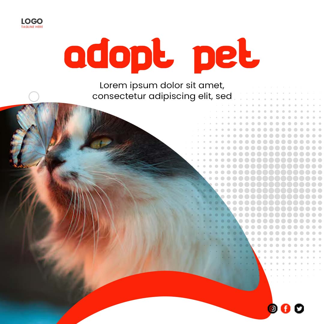 8 Animal Instagram Posts and Stories Templates - MasterBundles