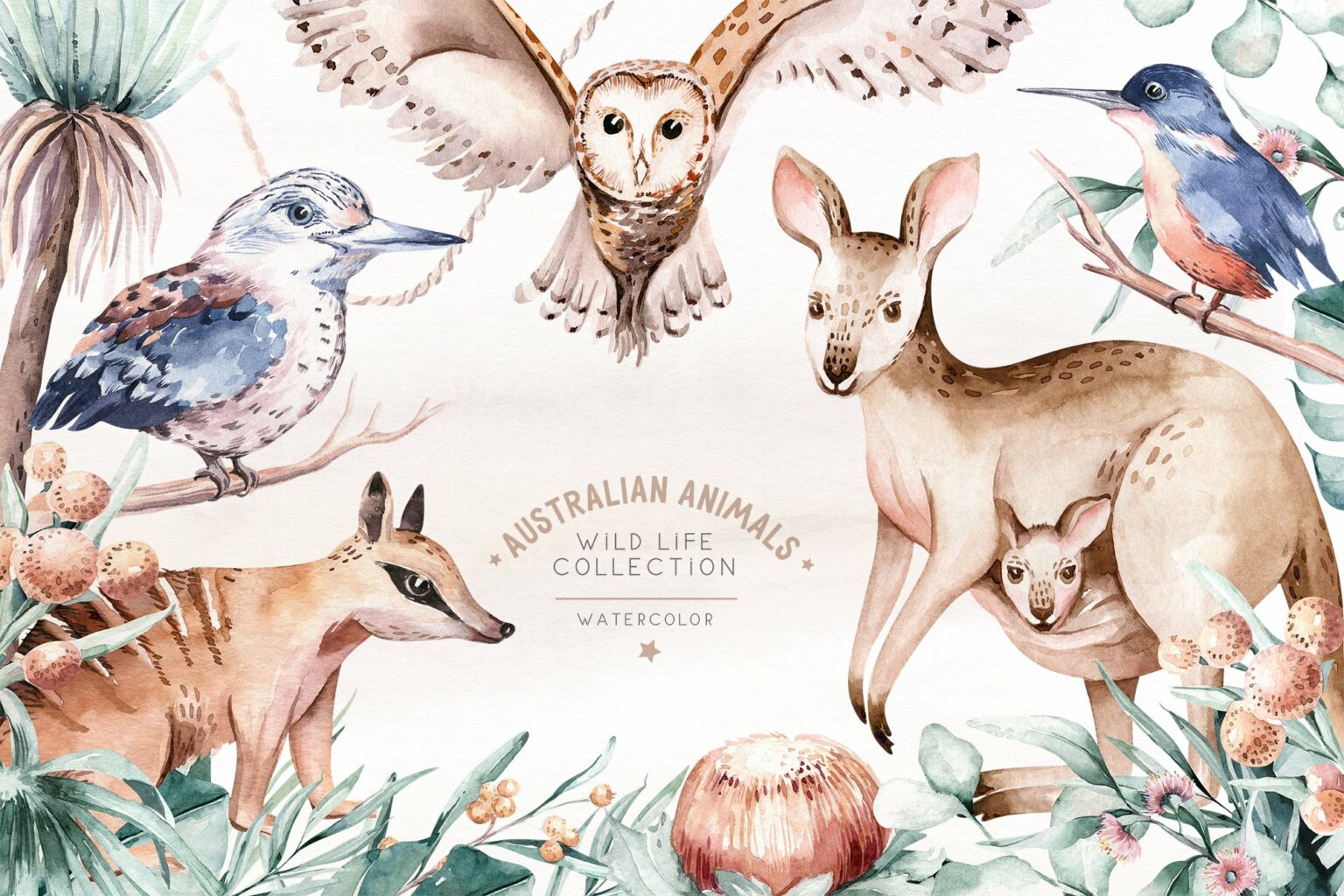 Australian Animals Watercolor Set – MasterBundles