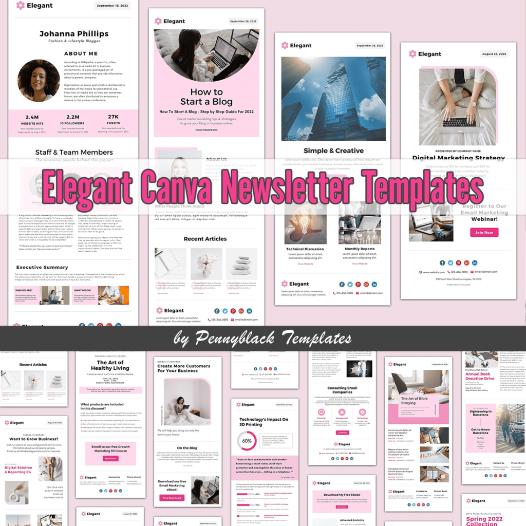 Elegant Canva Newsletter Templates – MasterBundles