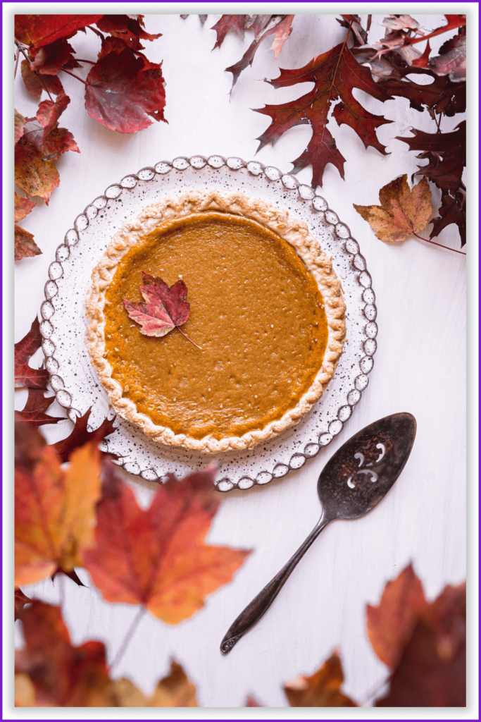 40+ Happy Thanksgiving Images: Best Free Stock Photos