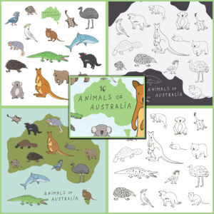 Australian Animals – MasterBundles