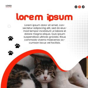 8 Animal Instagram Posts and Stories Templates | MasterBundles