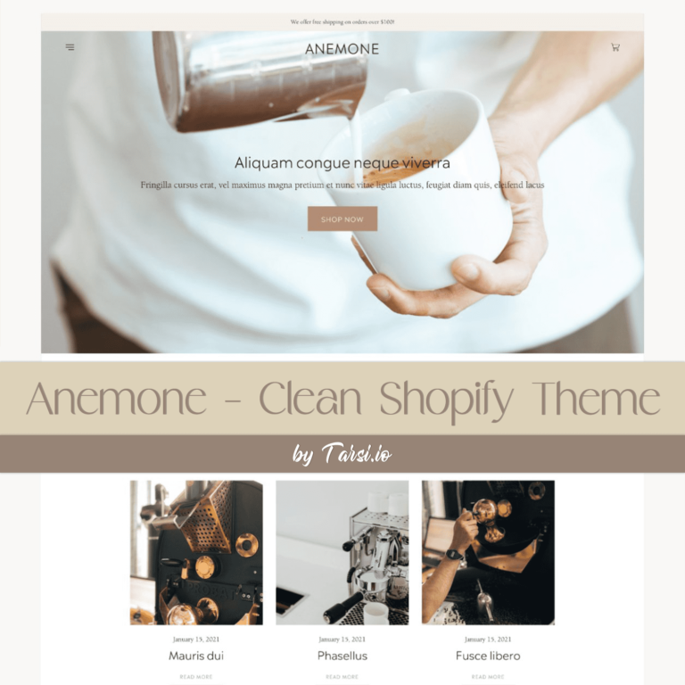 10+ Best Free Shopify Minimal Themes for Online Stores