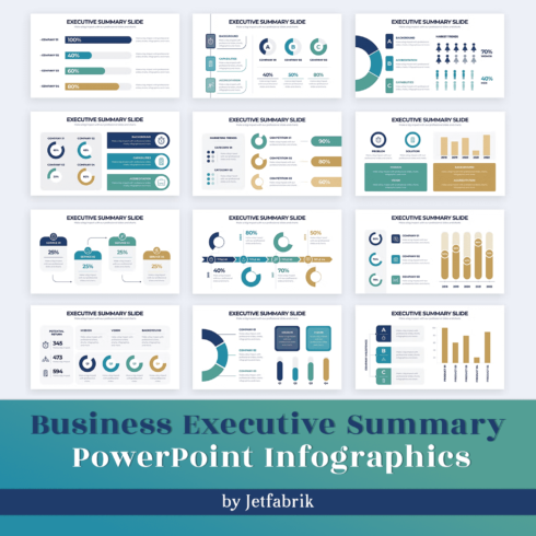 Business Executive Summary PowerPoint Infographics – MasterBundles