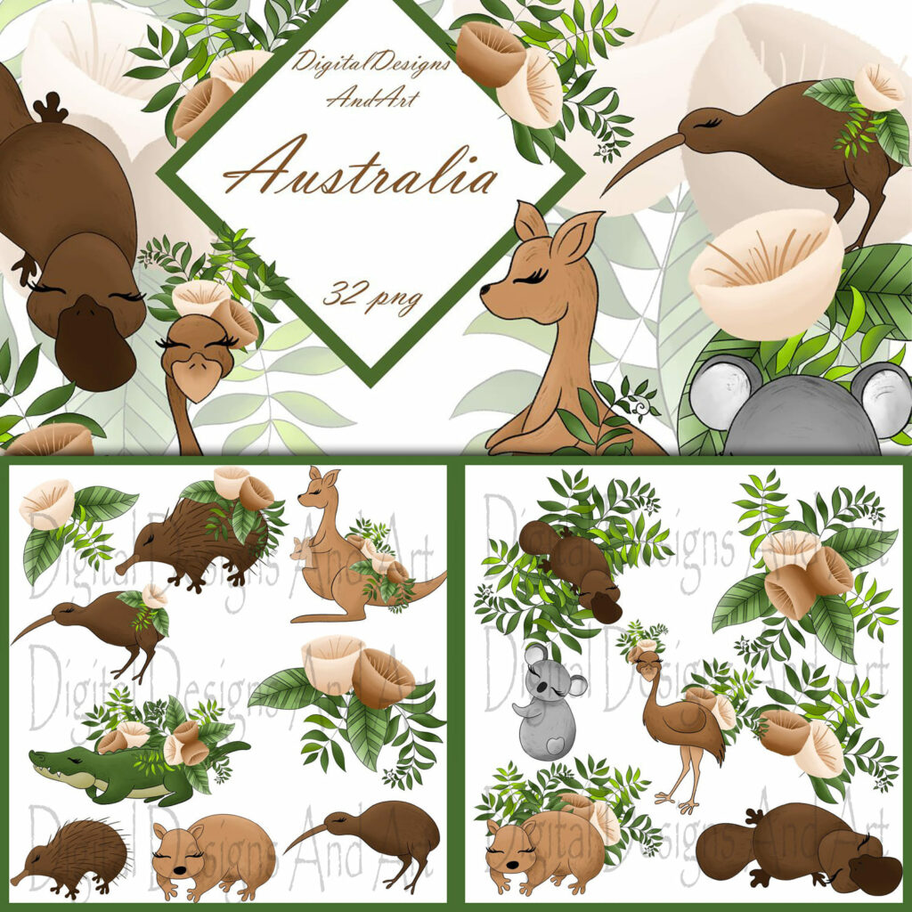 Australia Animals Clipart – MasterBundles