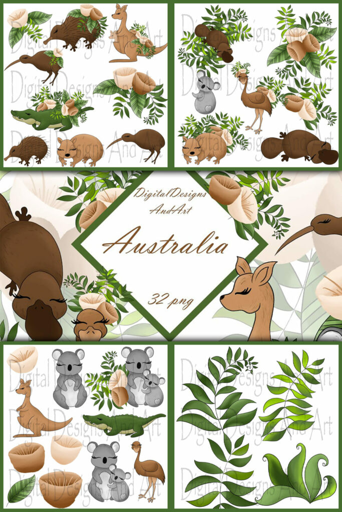 Australia Animals Clipart – MasterBundles