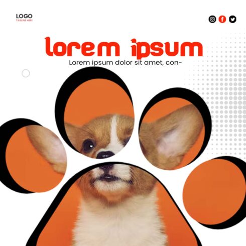 8 Animal Instagram Posts and Stories Templates - MasterBundles