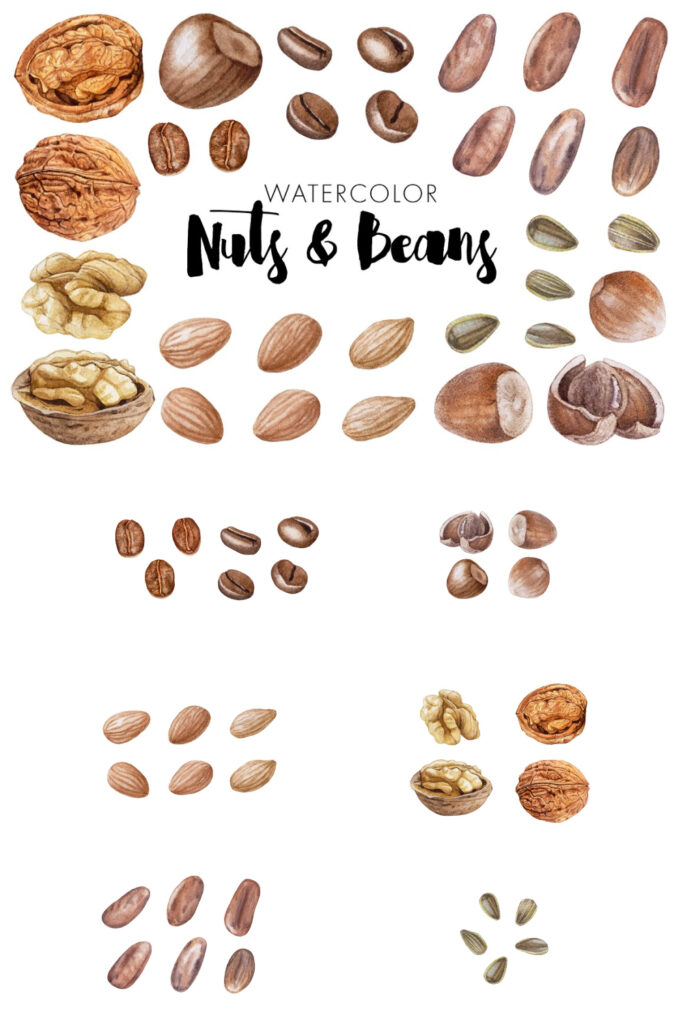 Watercolor Nuts & Beans – MasterBundles
