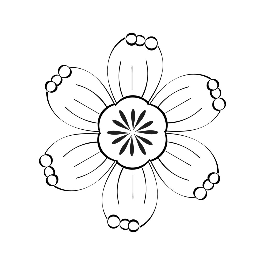 12 Floral Art Drawing With Line-Art - MasterBundles