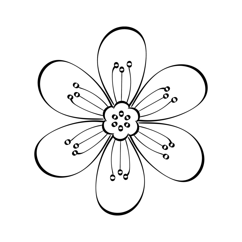 12 Floral Art Drawing With Line-Art - MasterBundles