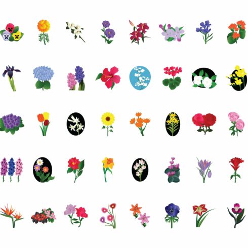 50 Flower Set Illustration | MasterBundles