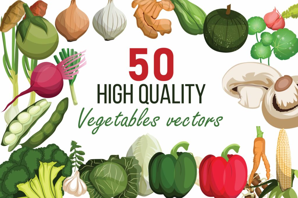 50 Vegetables High Quality Vector Collection – MasterBundles