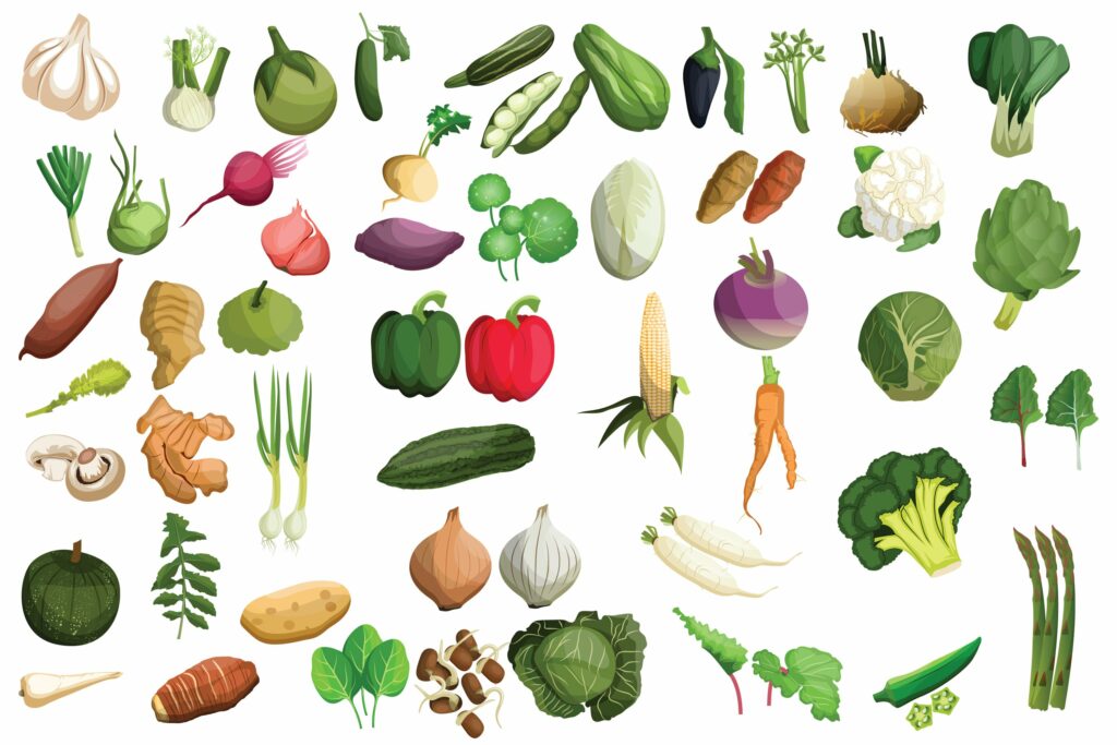 50 Vegetables High Quality Vector Collection – MasterBundles