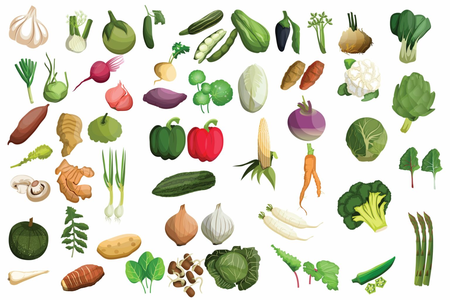 50 Vegetables High Quality Vector Collection – MasterBundles