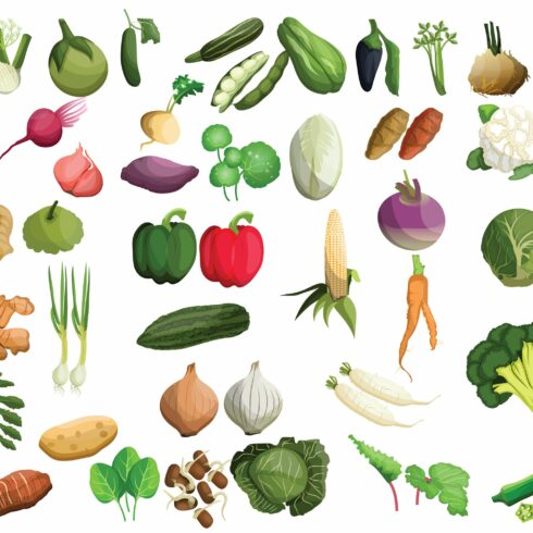 50 Vegetables High Quality Vector Collection | MasterBundles