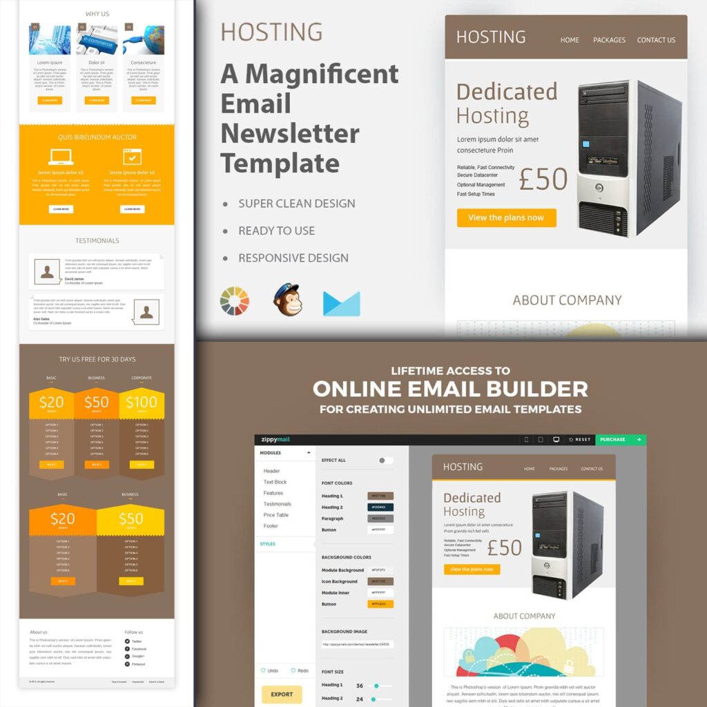 Hosting-Responsive Email Template – MasterBundles