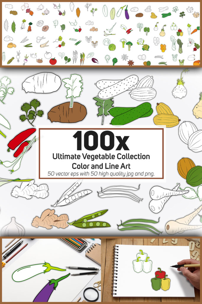 100 Ultimate Vegetable Collection - Color and Line Art – MasterBundles