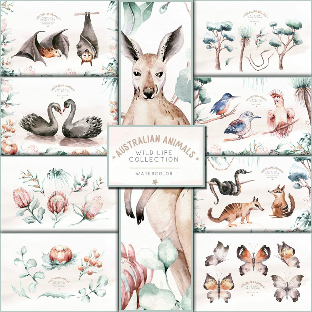 Australian Animals Watercolor Set – MasterBundles