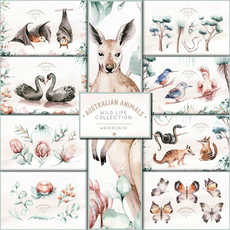 Australian Animals Watercolor Set – MasterBundles