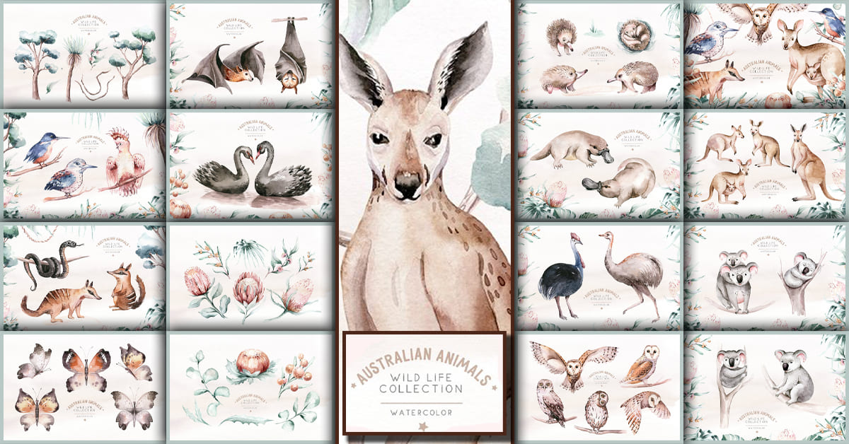 Australian Animals Watercolor Set – MasterBundles
